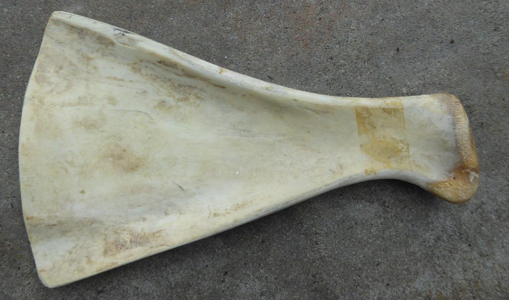 Canada First Nations Inuit Animal Hide Scraper Artifact ⋆ Copper Shield ...