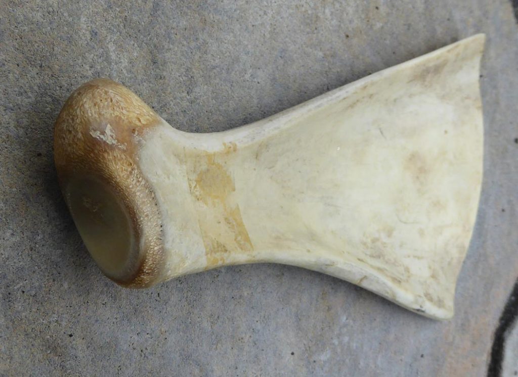 Canada First Nations Inuit Animal Hide Scraper Artifact ⋆ Copper Shield ...