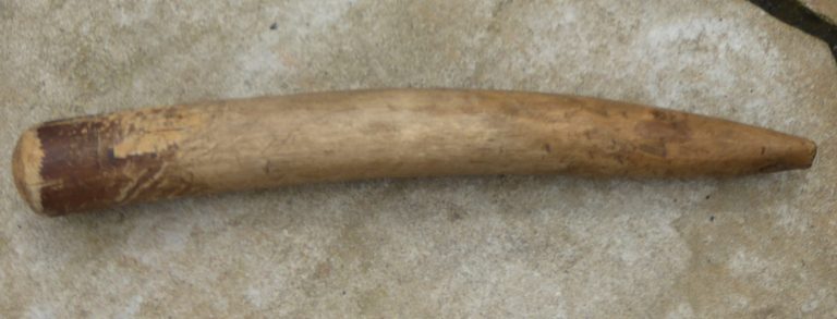 Inuit Tool Wood Fish Club Artifact Rare ⋆ Copper Shield Tribal Art